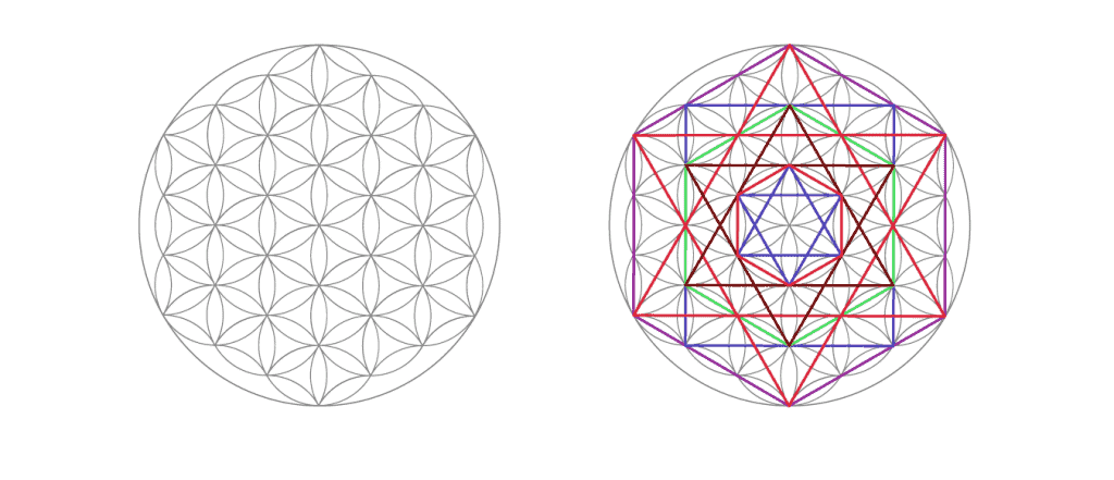 DNA/RNA Sample Kit - Quantum Meta Health | Quantum Meta Health