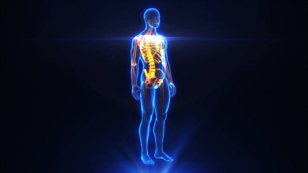 Quantum Meta Health | Life begins with negative ions.